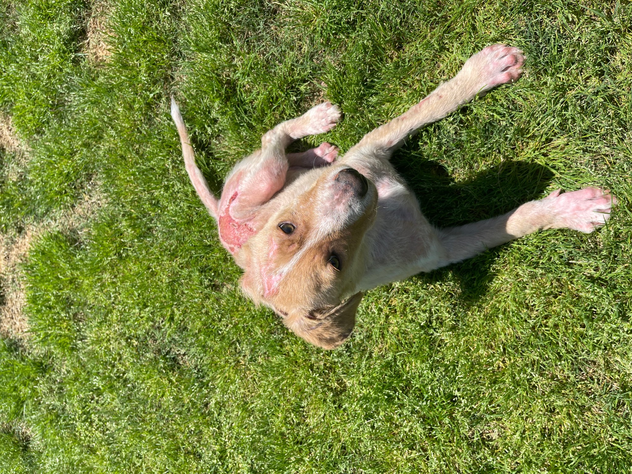 Home - Let Love Live